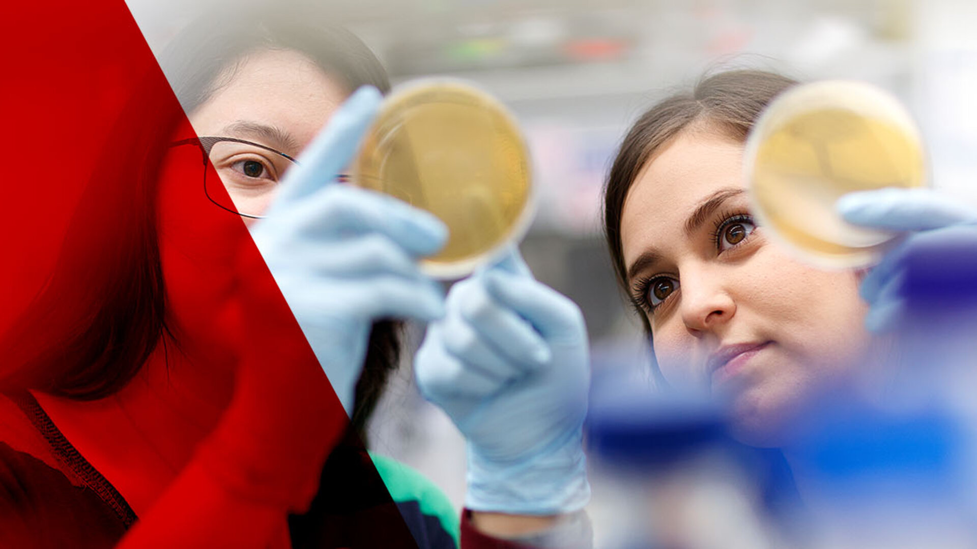 Microbial Interactions | Complex Biosystems PhD Program | Nebraska