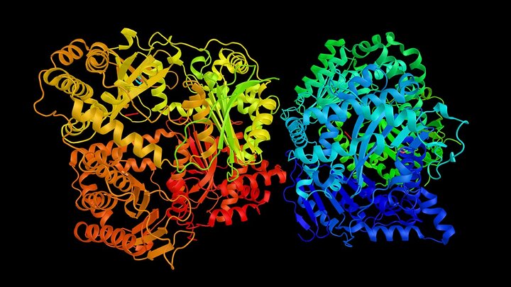 Systems Analysis | Complex Biosystems PhD Program | Nebraska
