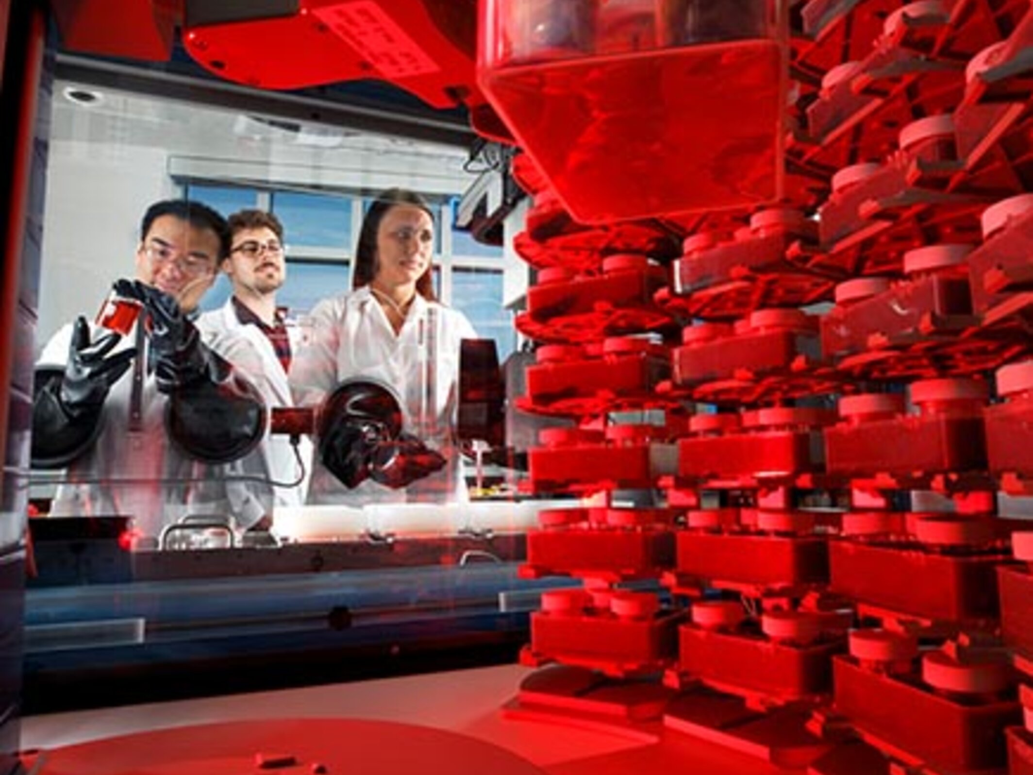 Microbial Interactions | Complex Biosystems PhD Program | Nebraska