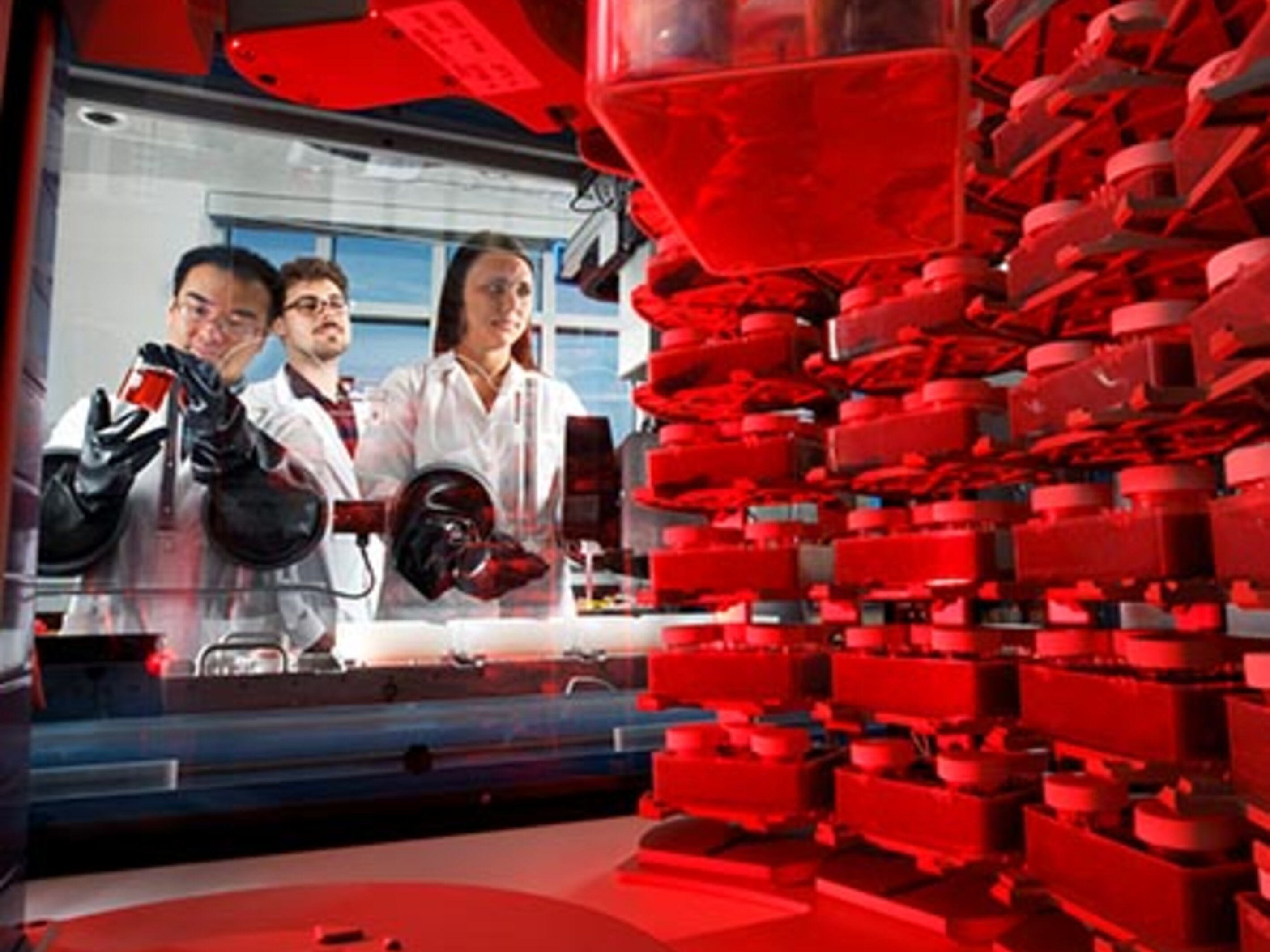 Microbial Interactions | Complex Biosystems PhD Program | Nebraska