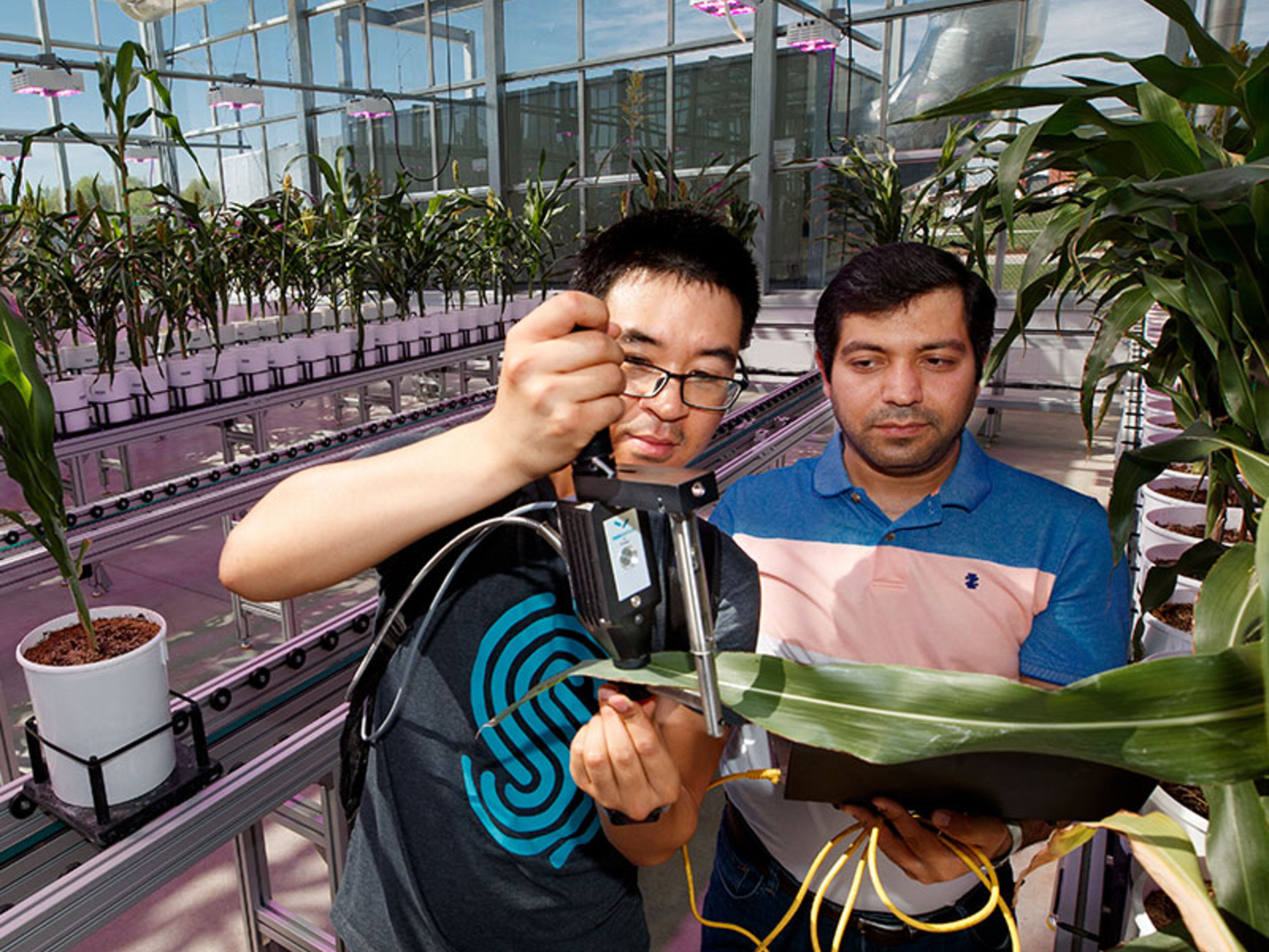 Integrated Plant Biology | Complex Biosystems PhD Program | Nebraska