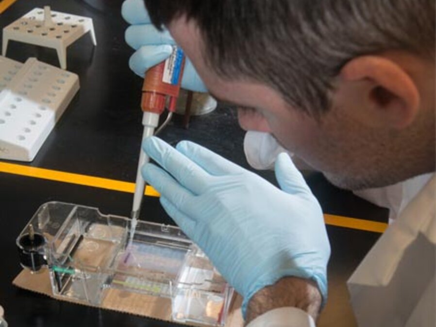 Pathology and Biomedical Science | Complex Biosystems PhD Program | Nebraska